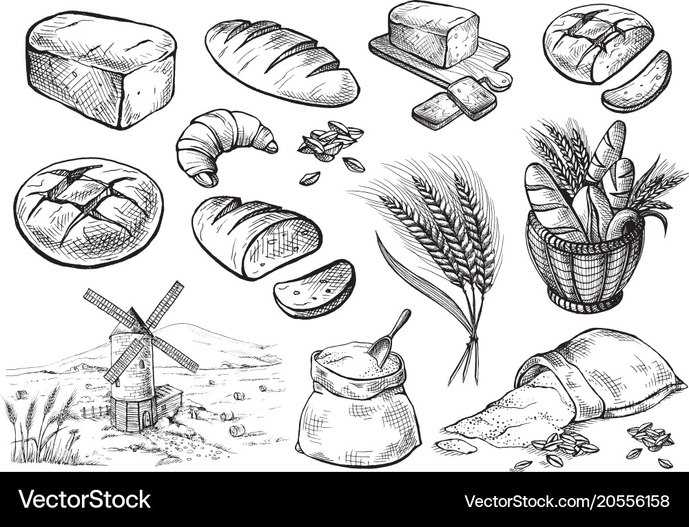 Fresh bread set Royalty Free Vector Image - VectorStock