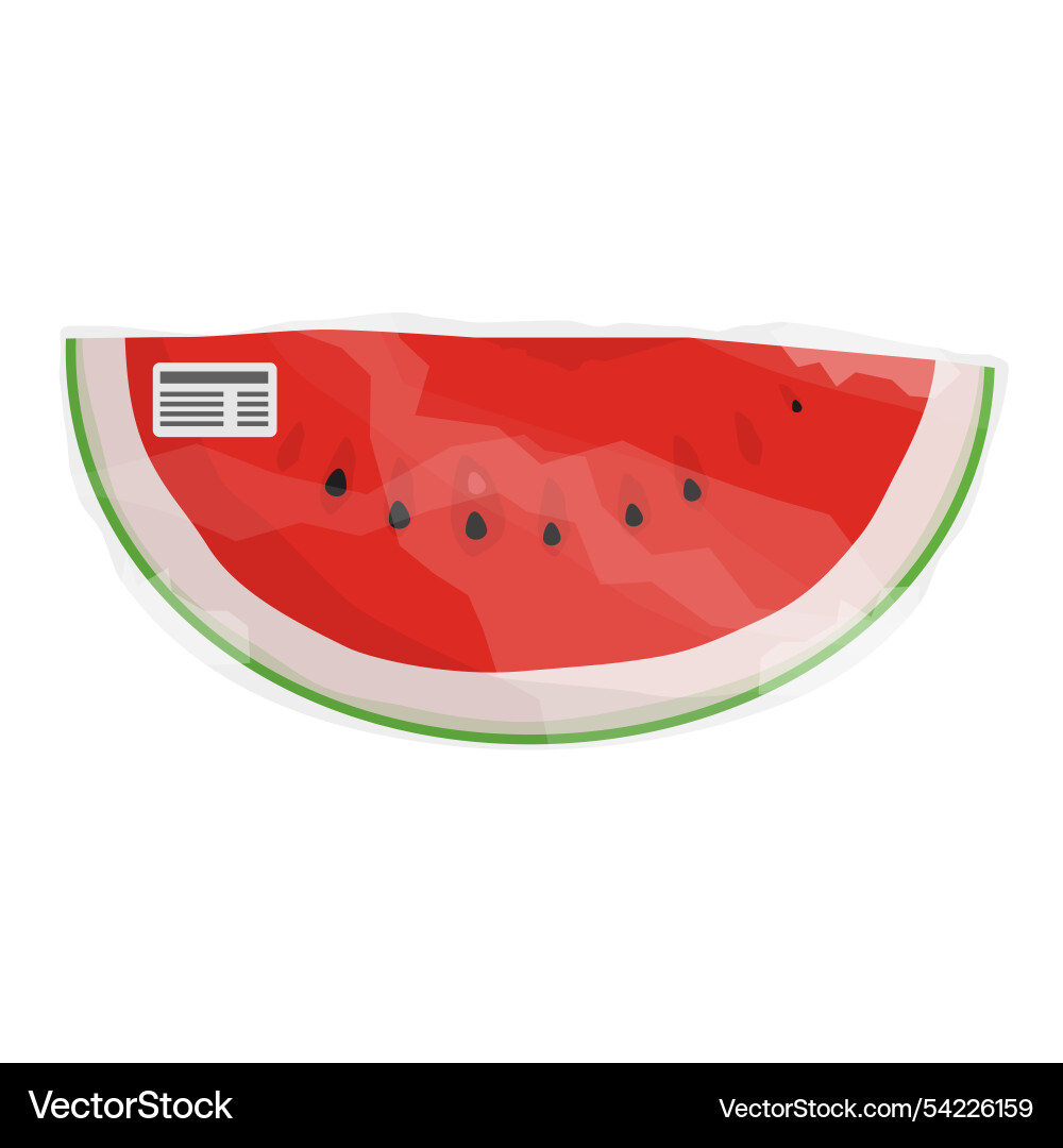 Fresh organic slice of watermelon Royalty Free Vector Image