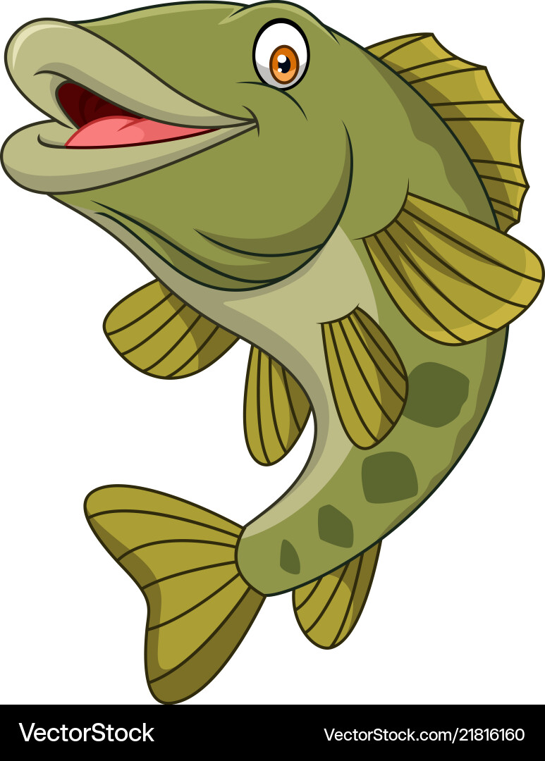 Cartoon Bass Fish Royalty Free Vector Image - VectorStock