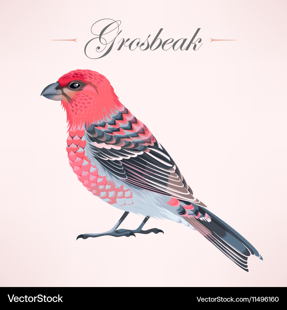 Pink bird Royalty Free Vector Image - VectorStock