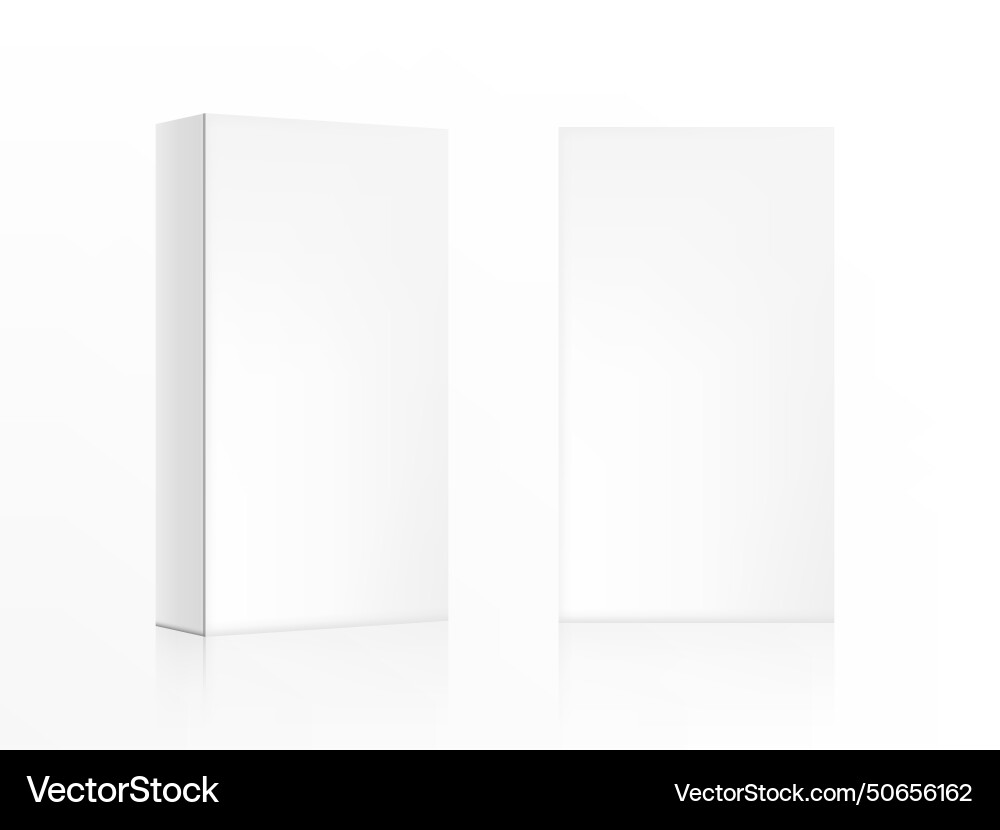 Front and perspective views of white box Vector Image