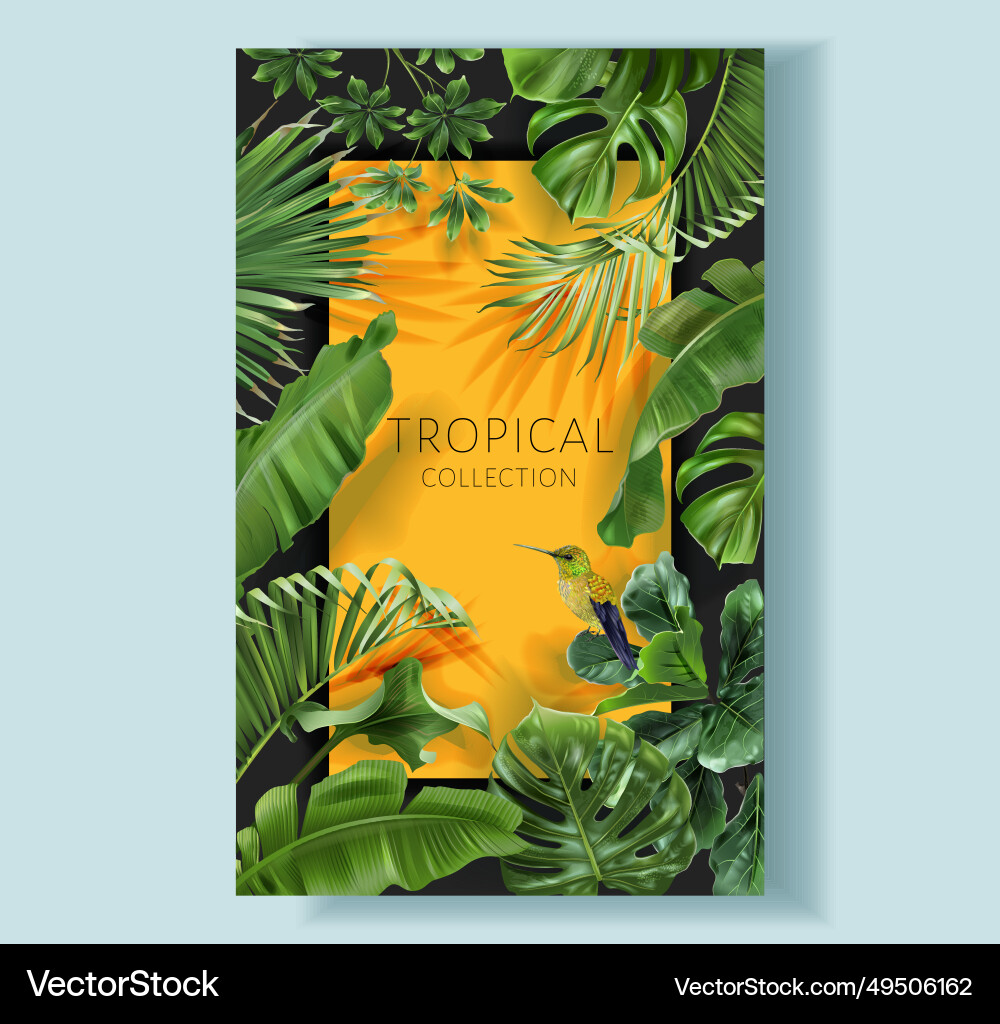 Tropical color frame Royalty Free Vector Image