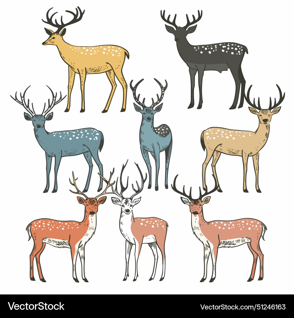 Collection handdrawn deer various colors stands Vector Image