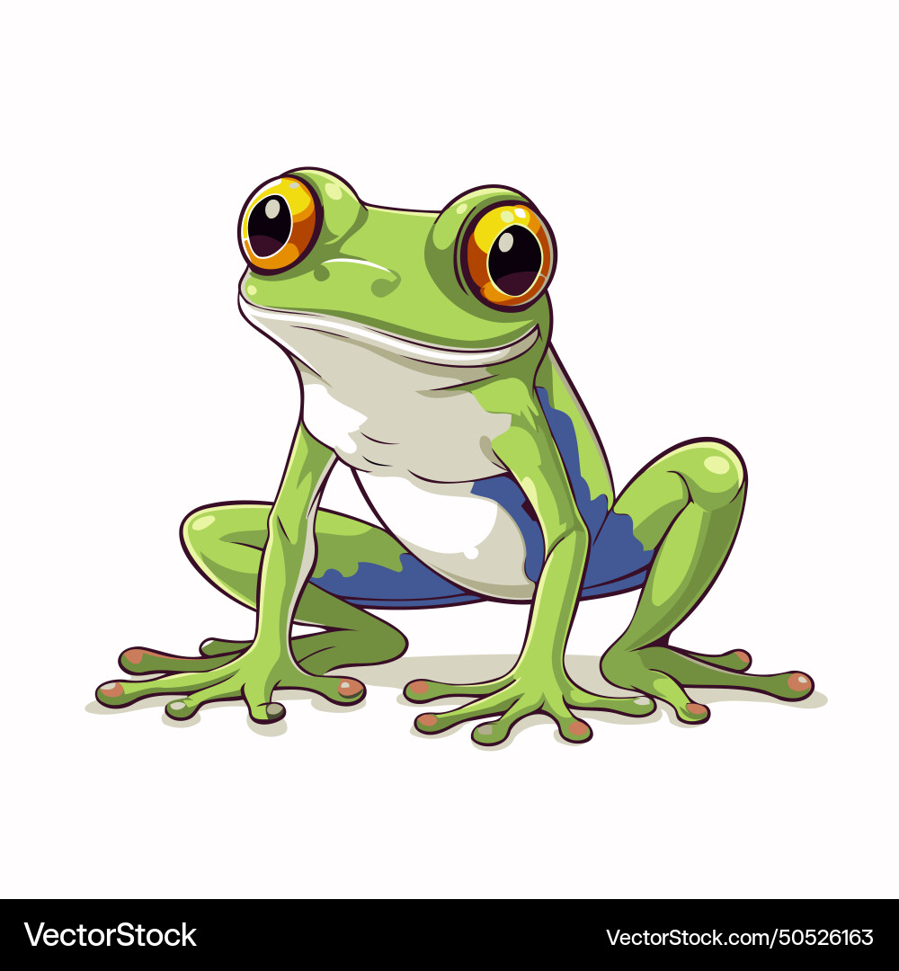 Cute cartoon frog isolated on white background Vector Image