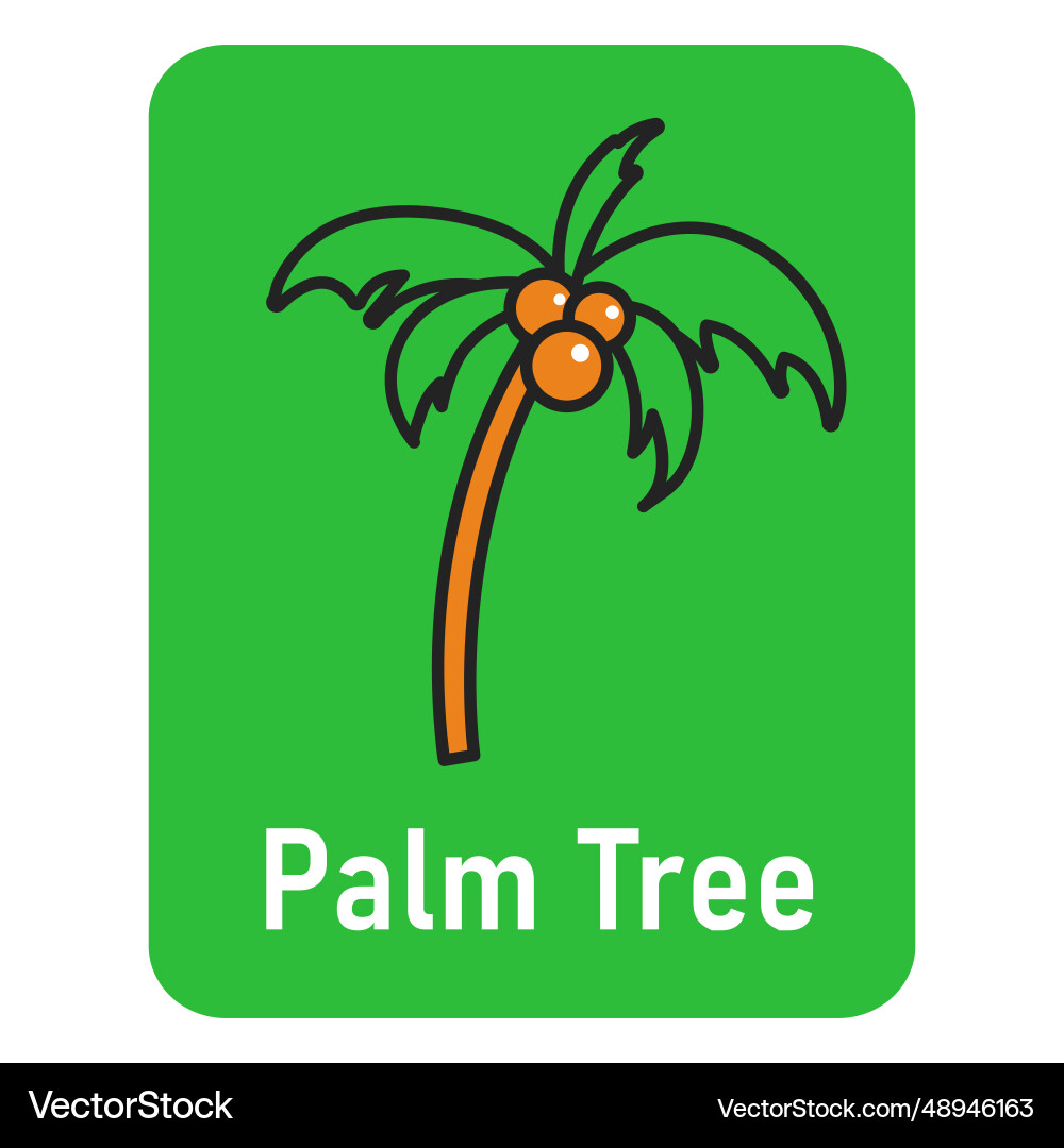Palm tree green flashcard Royalty Free Vector Image