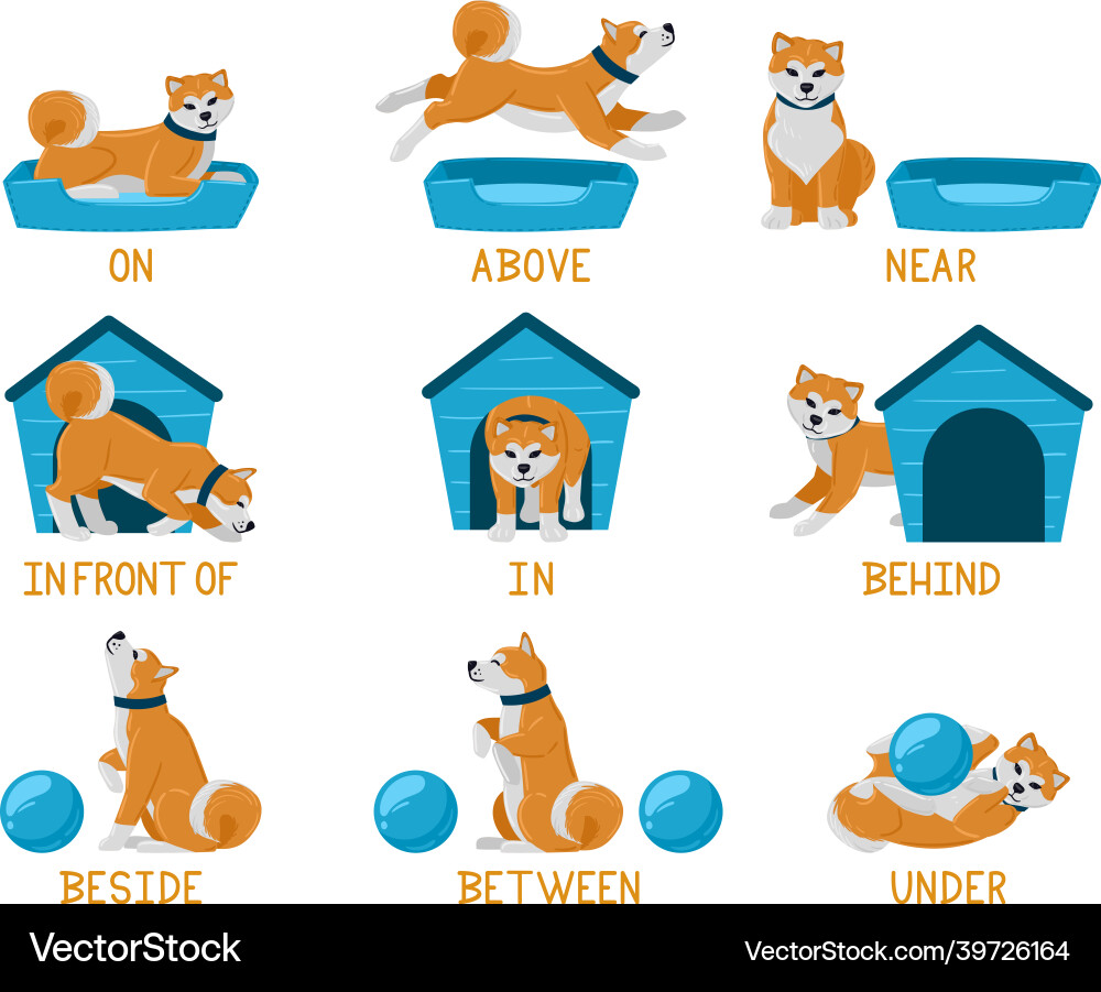 Learning english prepositions with cute cartoon Vector Image