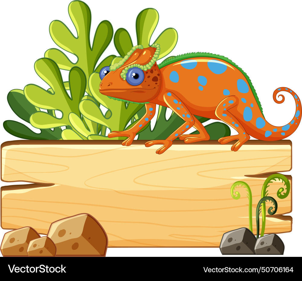 Tropical Chameleon on Wooden Sign Royalty Free Vector Image