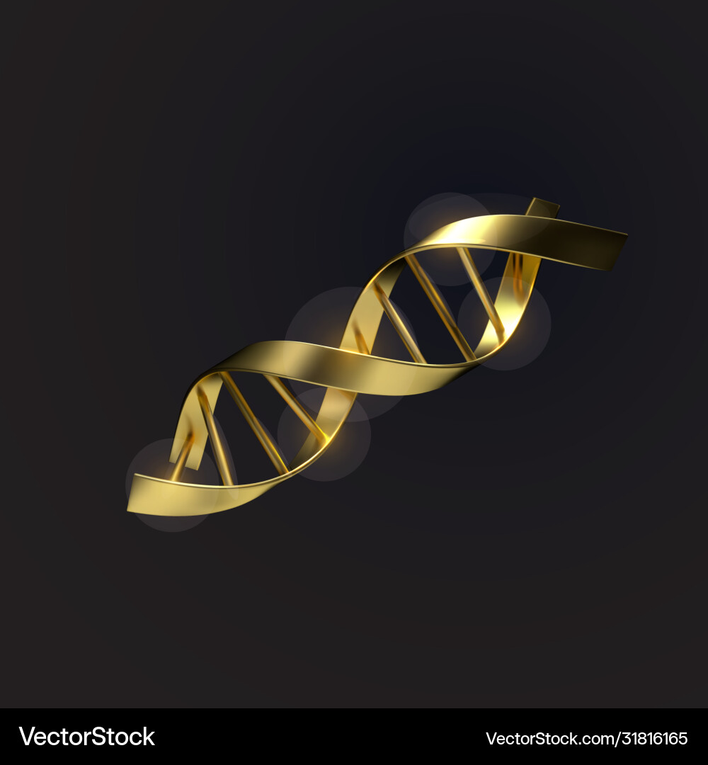 Golden dna strand 3d Royalty Free Vector Image