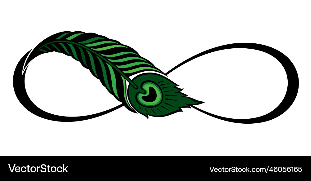 Infinity symbol of peacock feather Royalty Free Vector Image