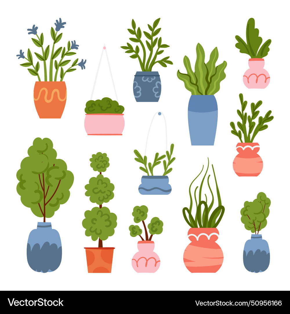 Set of different potted plants and trees Vector Image