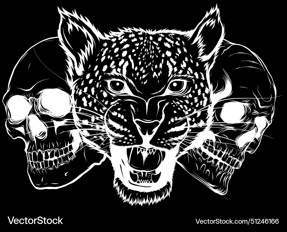 White silhouette of skulls head with leopard Vector Image