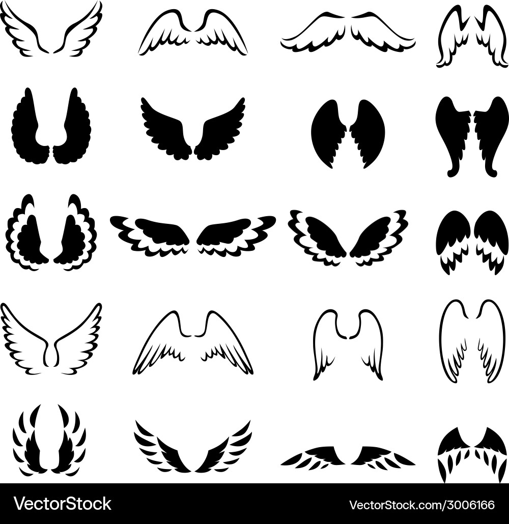 Wings set Royalty Free Vector Image - VectorStock