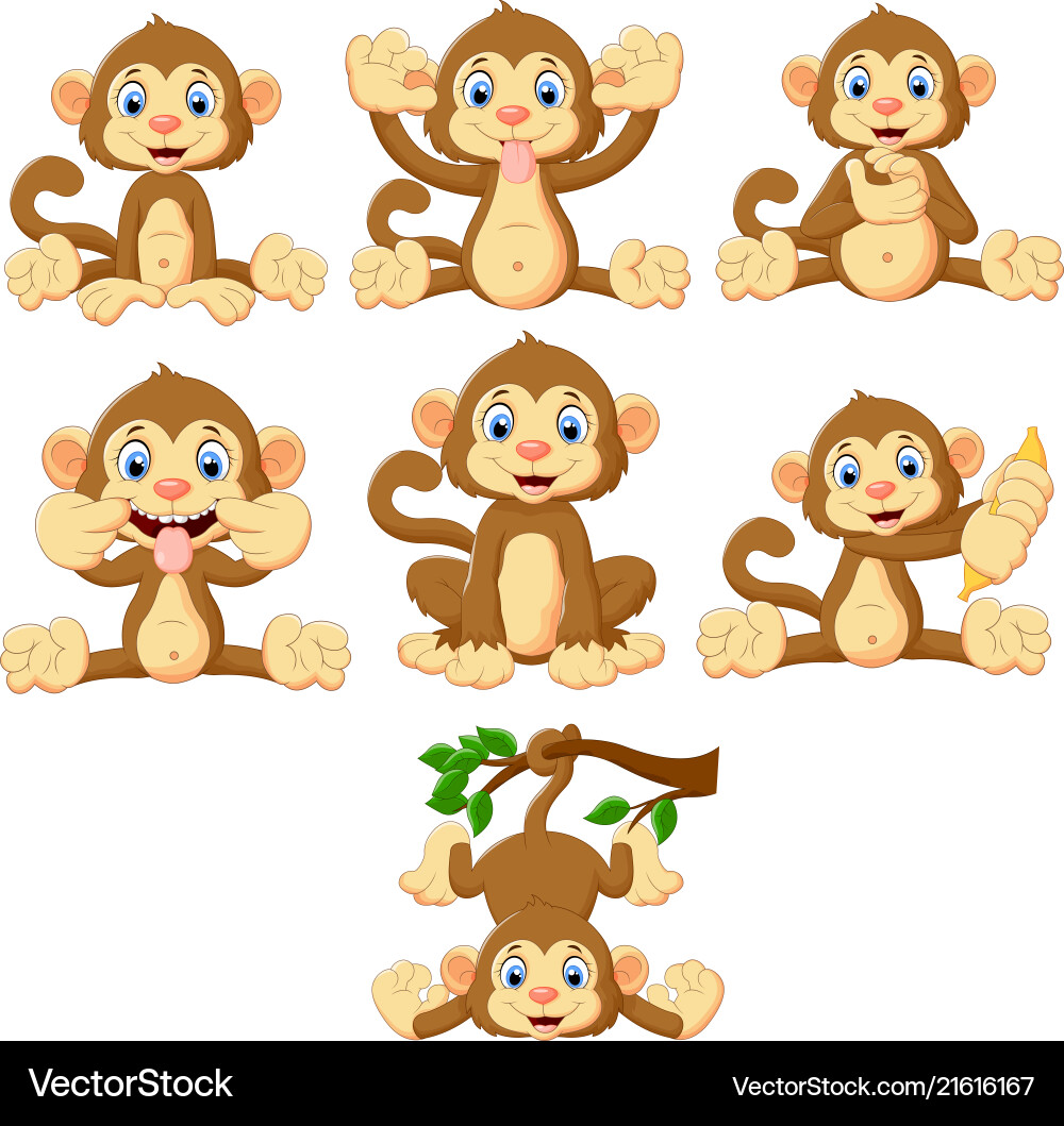 Cartoon monkeys collection set Royalty Free Vector Image