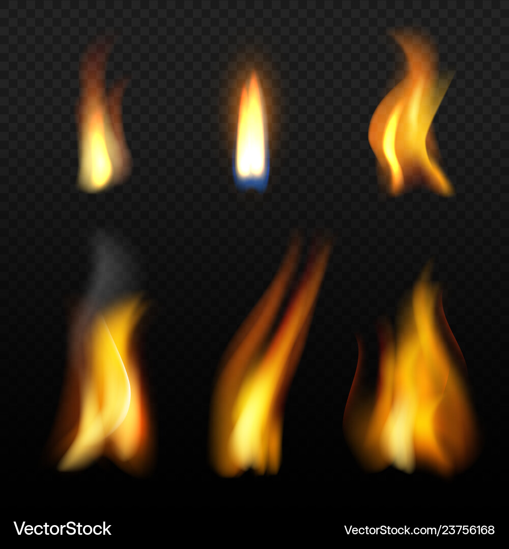 Fire flame template realistic fuego effects Vector Image