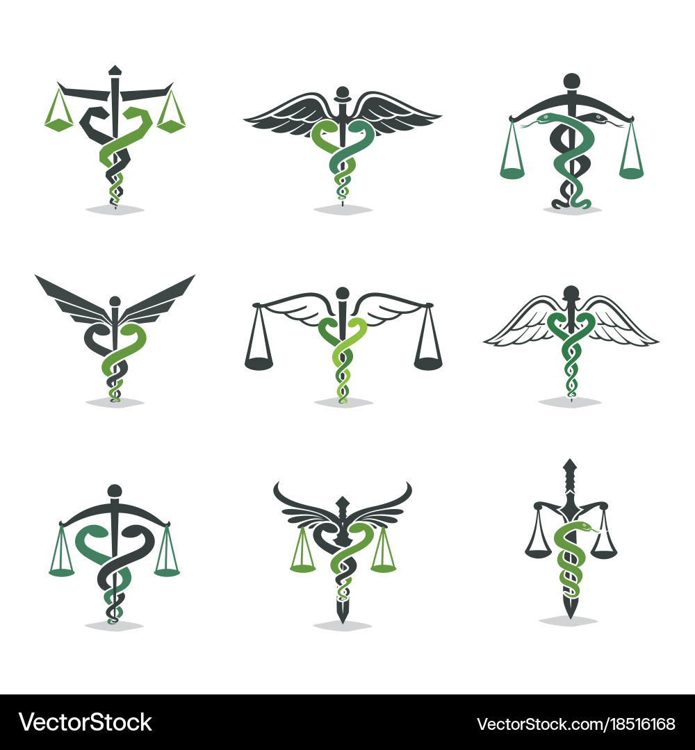 Health law icon Royalty Free Vector Image - VectorStock