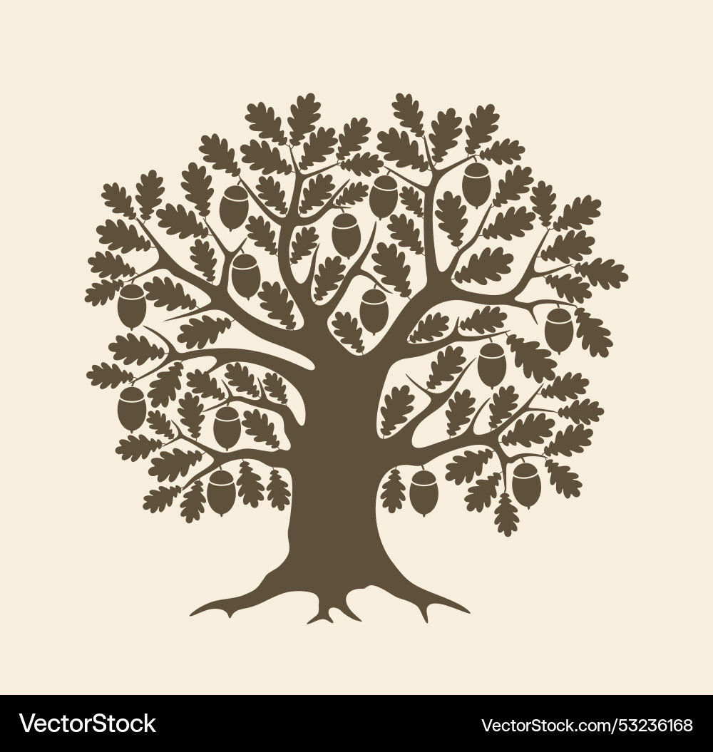 Oak Royalty Free Vector Image - VectorStock