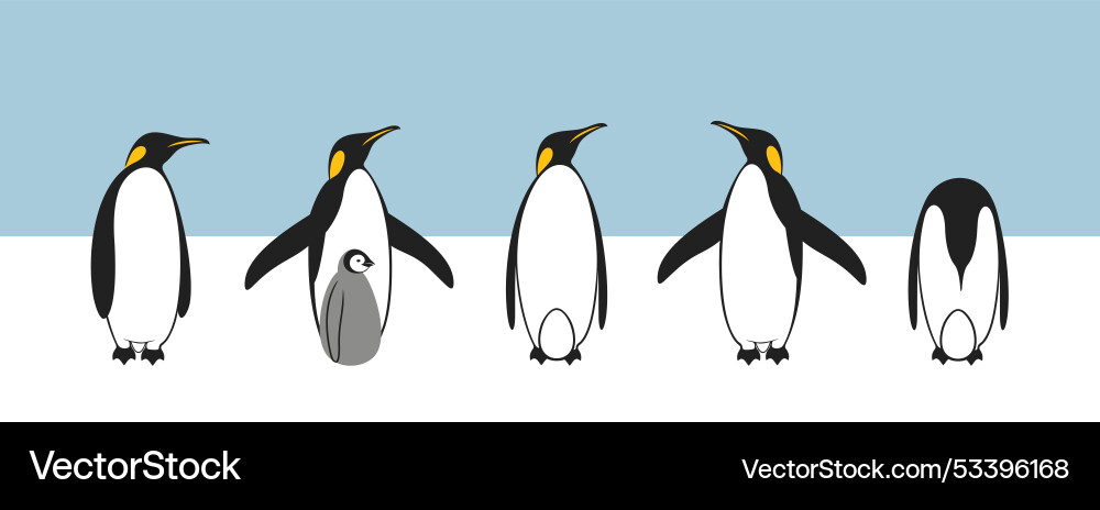 Penguin Royalty Free Vector Image - VectorStock