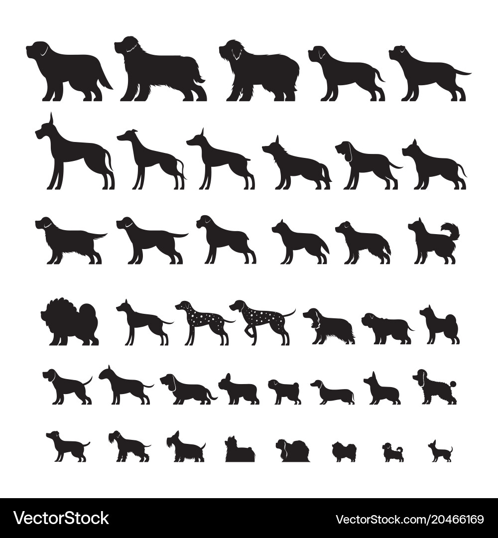 Dog Side View Vector Images (over 1,700)