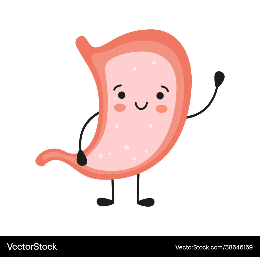 Smiling cute stomach character symbol Royalty Free Vector