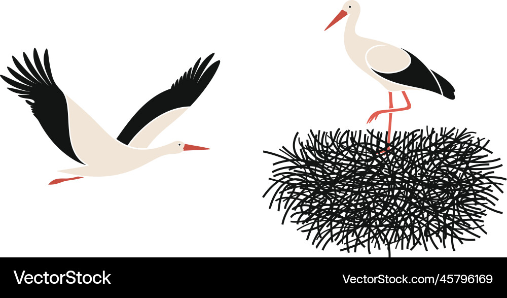 Stork Royalty Free Vector Image - VectorStock