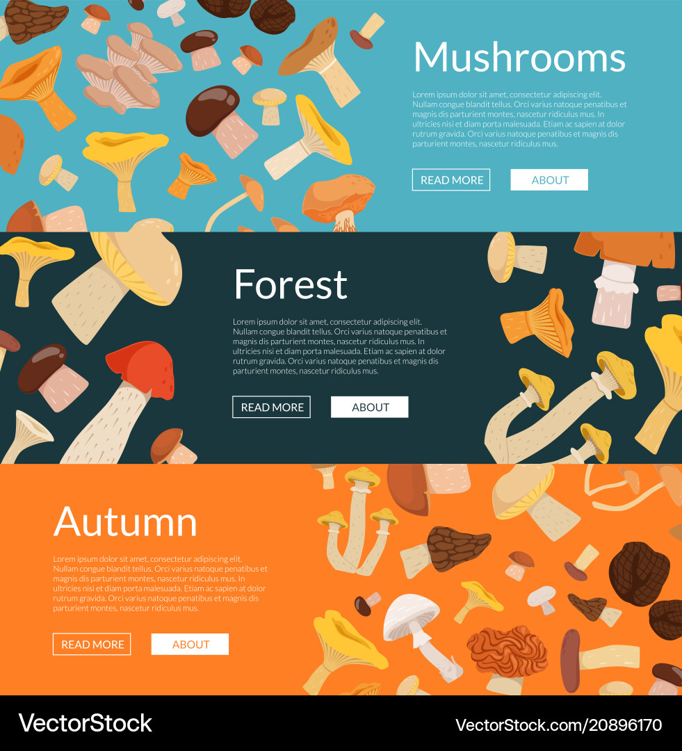 Horizontal web banners Royalty Free Vector Image