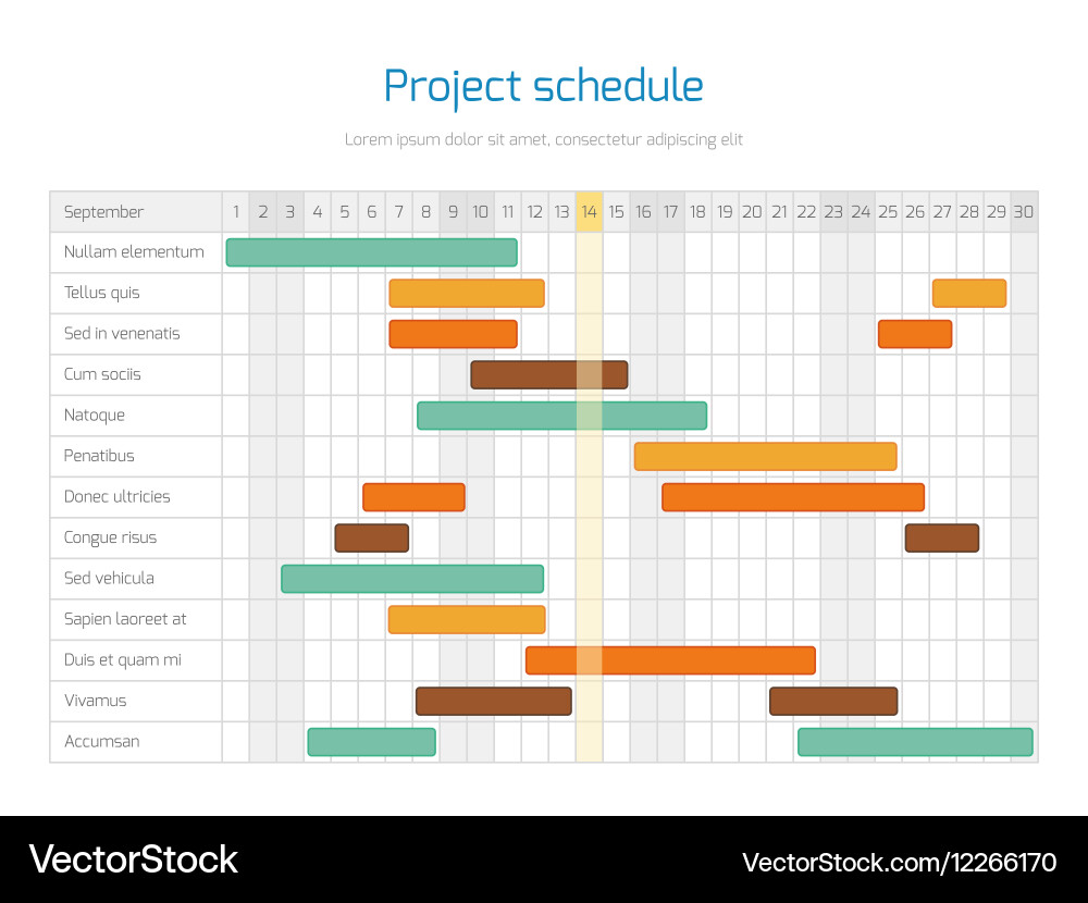 Project schedule chart overview planning timeline Vector Image