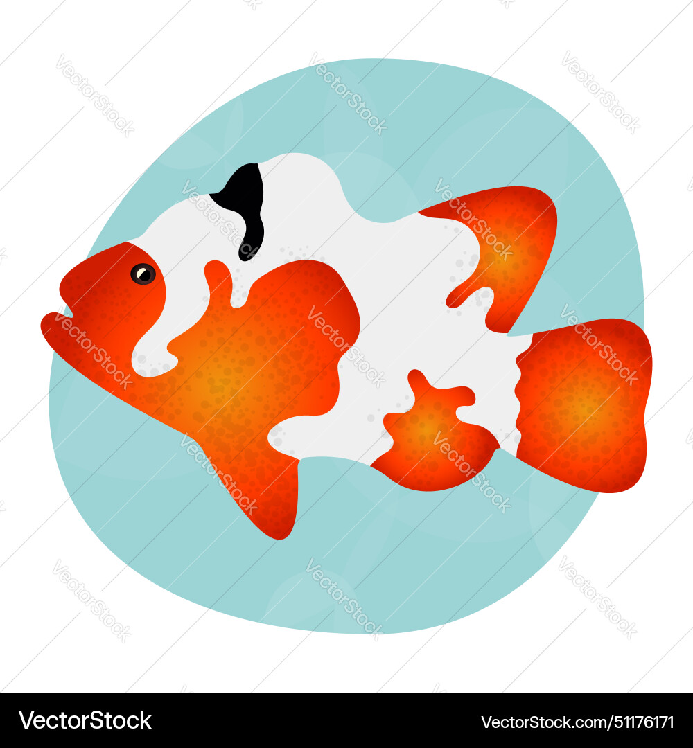 Beautiful and bright realistic tropical fish carp Vector Image
