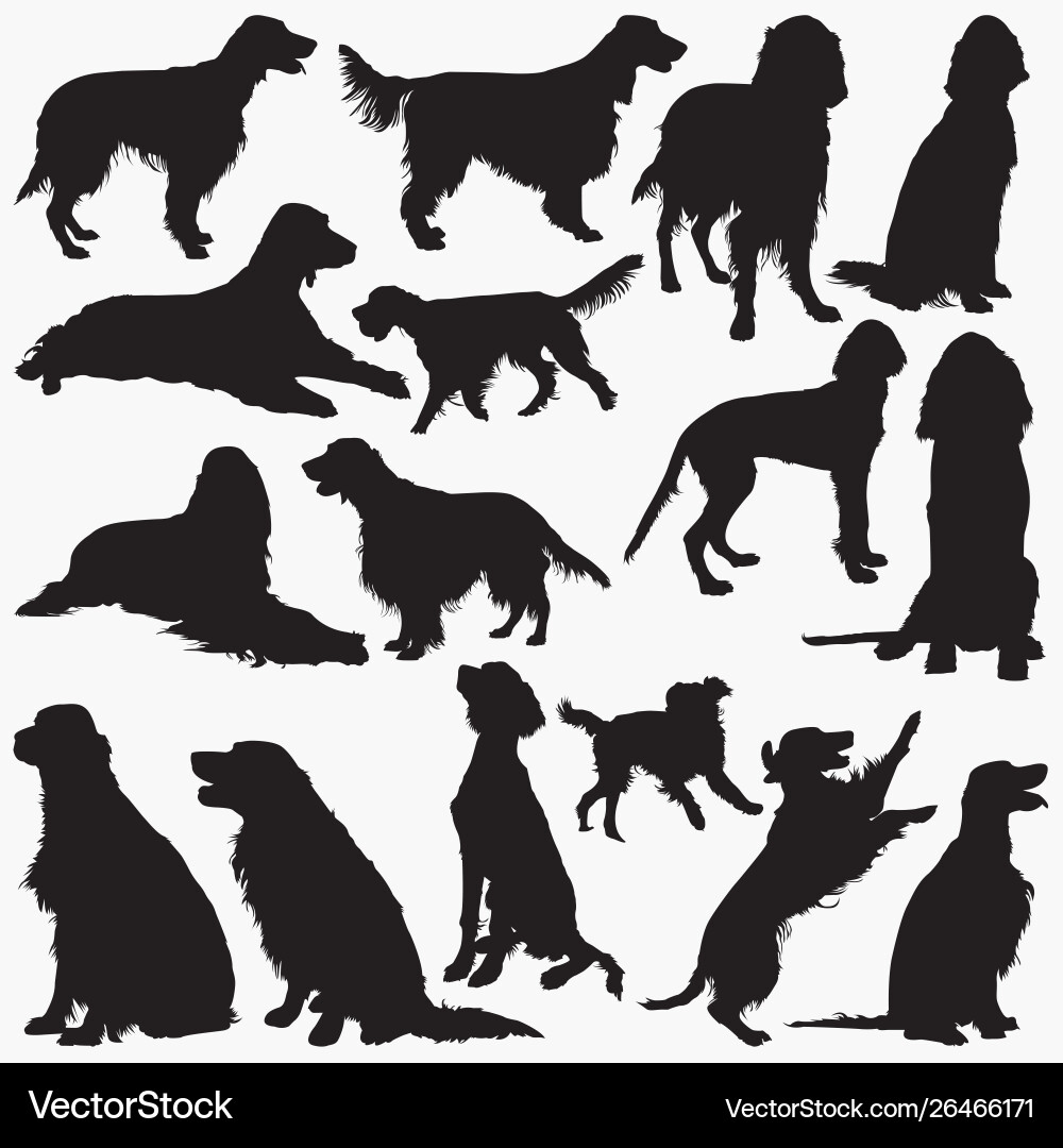 Irish-setter silhouettes Royalty Free Vector Image