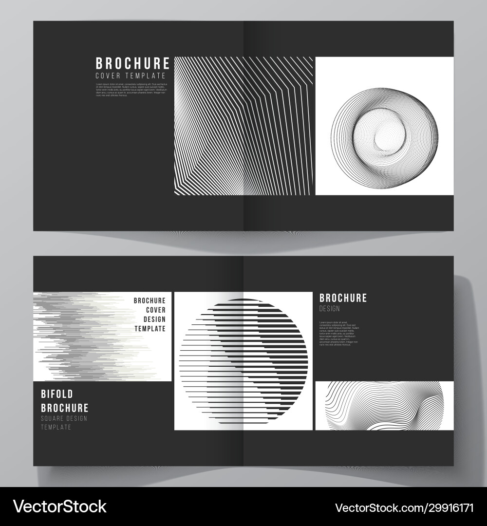 Layout two covers templates Royalty Free Vector Image