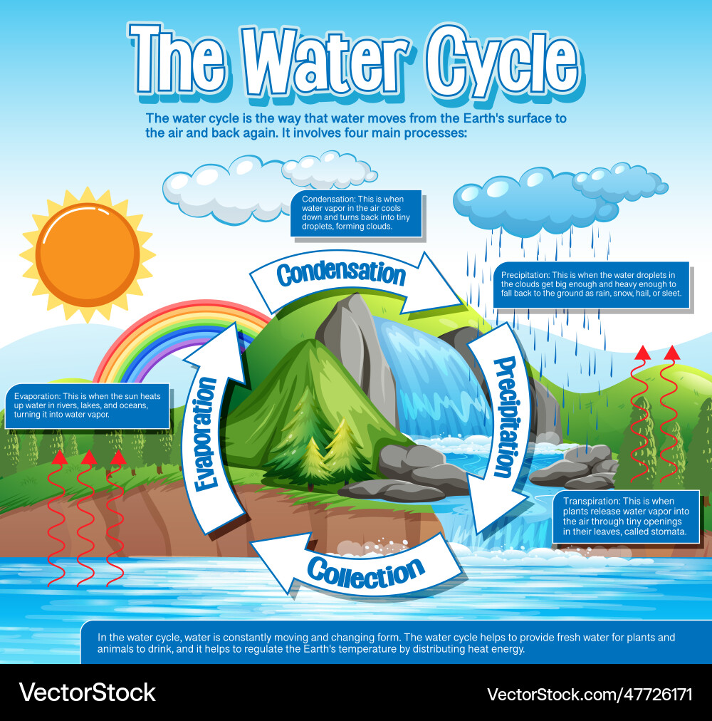 Water Cycle Diagram - Science Education Royalty Free Vector