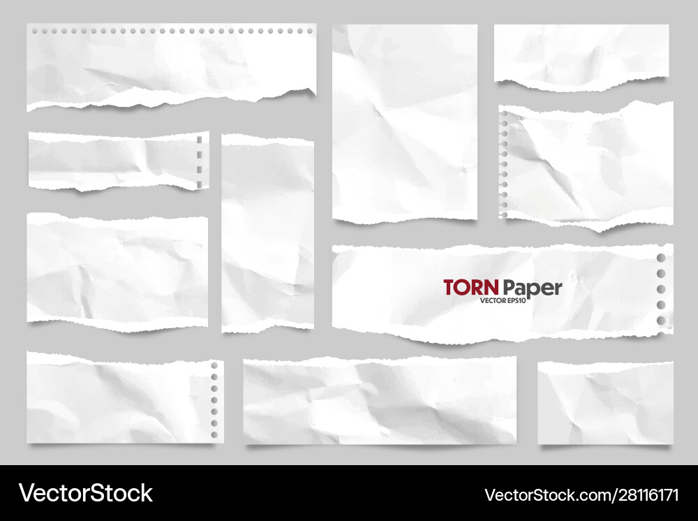 White ripped crumpled paper strips collection Vector Image