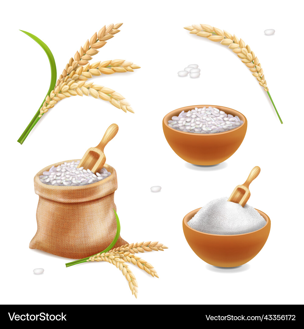 3d rice bag sack with grain sereals flour Vector Image