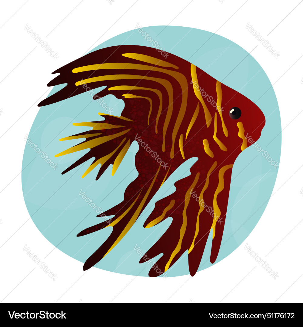 Beautiful realistic tropical betta fish sea Vector Image