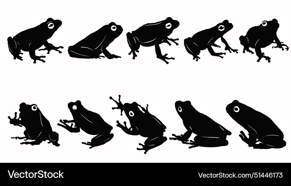 Frogs black and white collection Royalty Free Vector Image