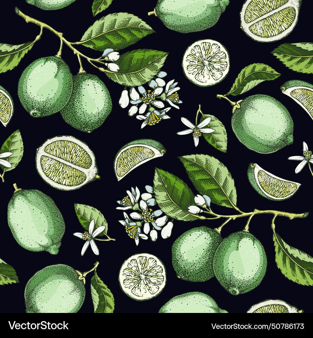 Lime fruit seamless pattern citrus branches Vector Image