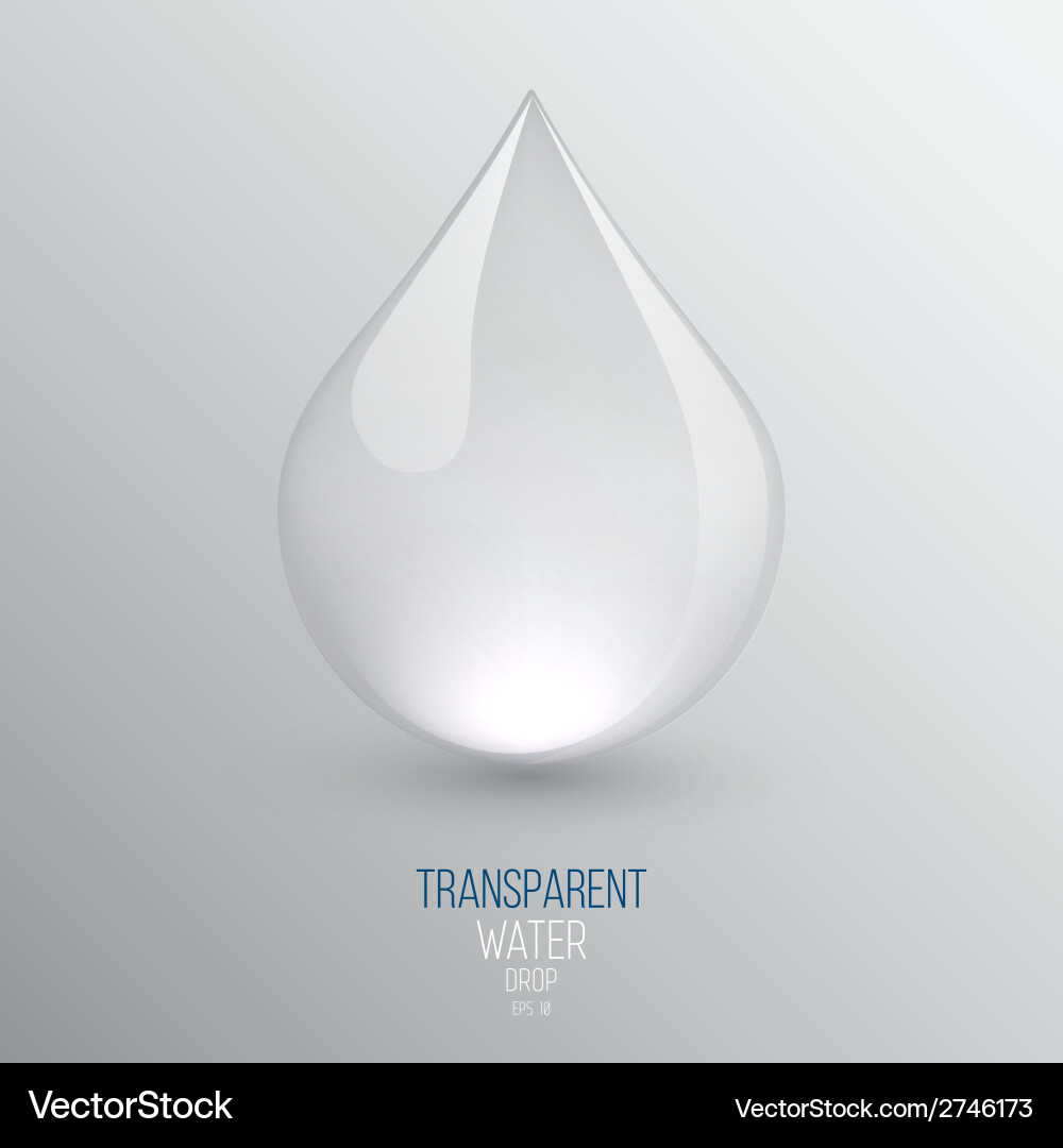 Water drop Royalty Free Vector Image - VectorStock
