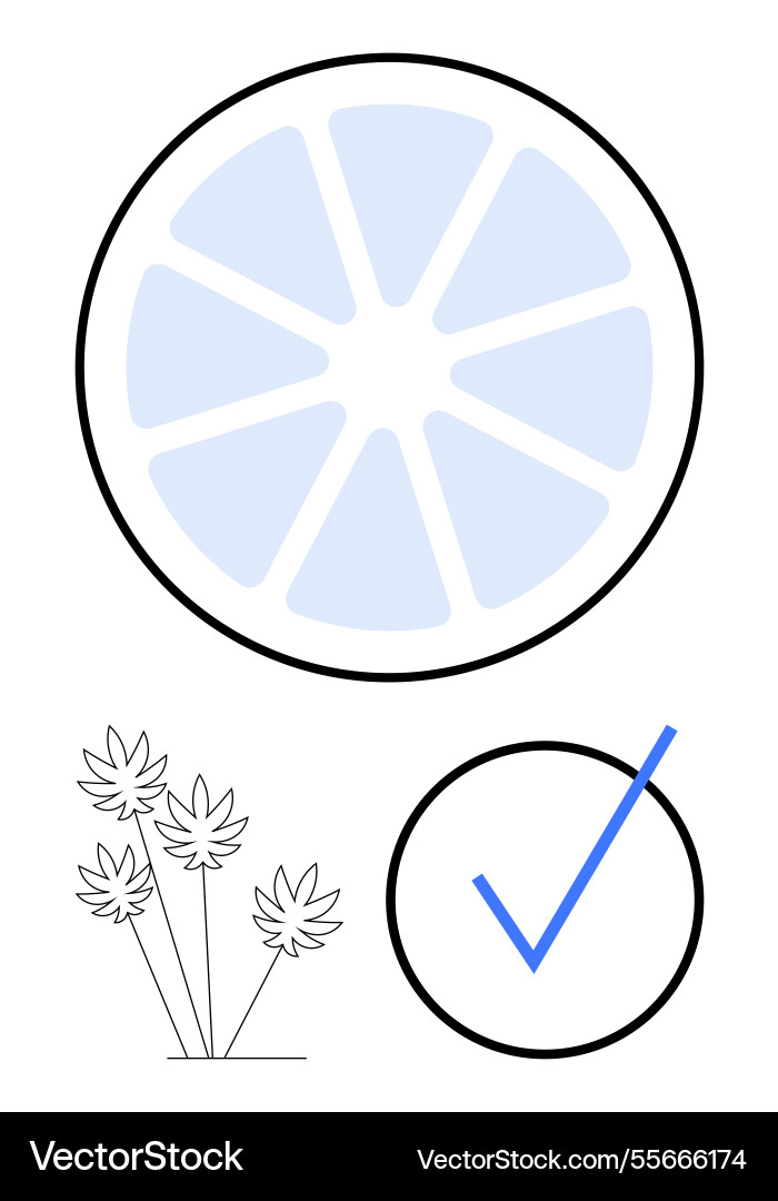 Citrus slice blue checkmark and stylized plant Vector Image