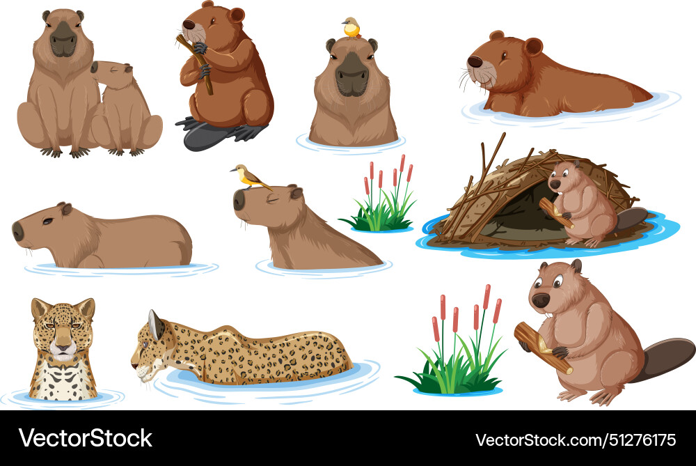 Beavers and a wild cat Royalty Free Vector Image