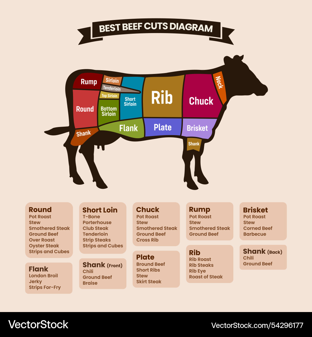 Beef cuts diagram with american of meat Royalty Free Vector