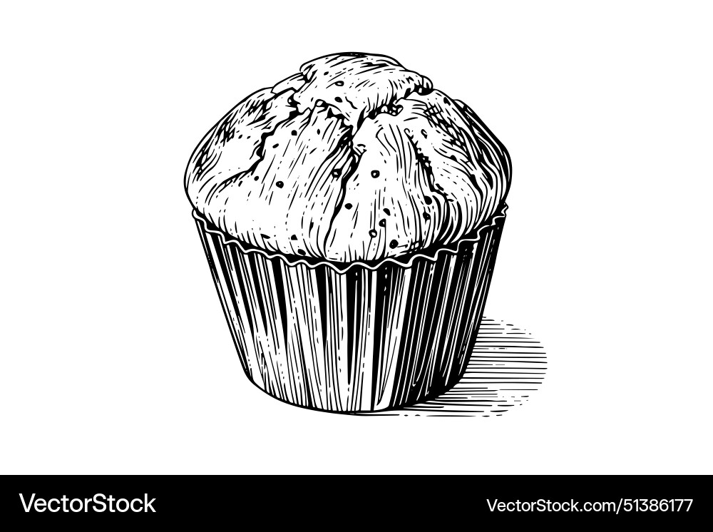 Cupcake hand drawn ink sketch engraved style Vector Image