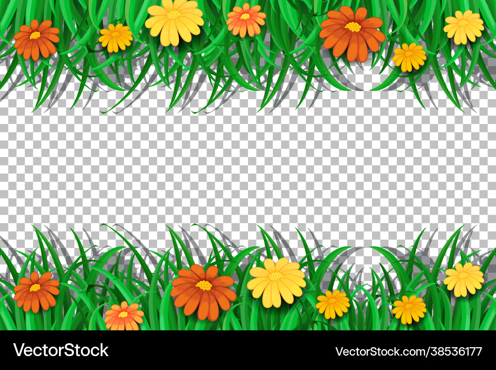 Flower frame template on transparent background Vector Image