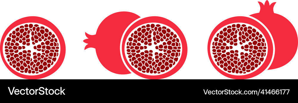 Pomegranate Royalty Free Vector Image - VectorStock