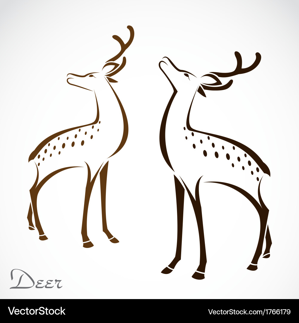 Deer Royalty Free Vector Image - VectorStock
