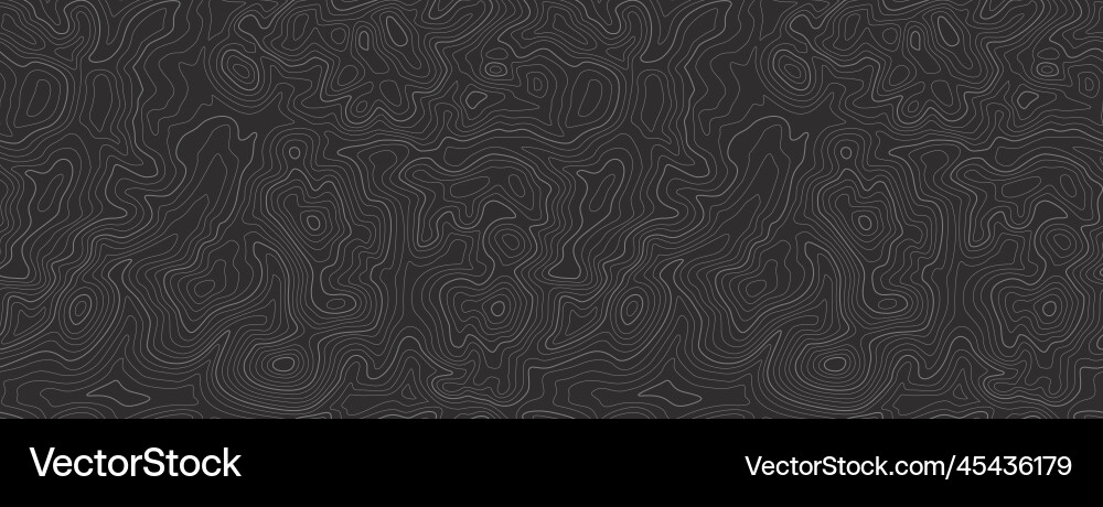 Topographic map background lines Royalty Free Vector Image