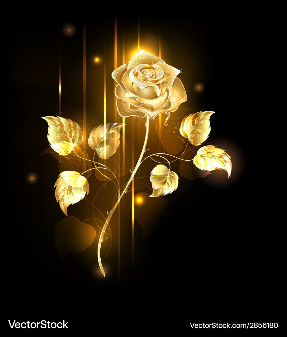 Glowing Golden Rose Royalty Free Vector Image - VectorStock
