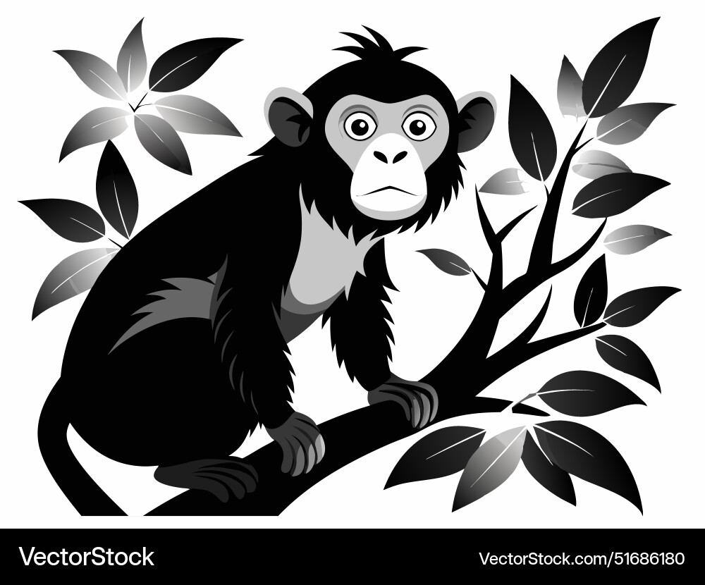 Monkey on the tree tre f Royalty Free Vector Image