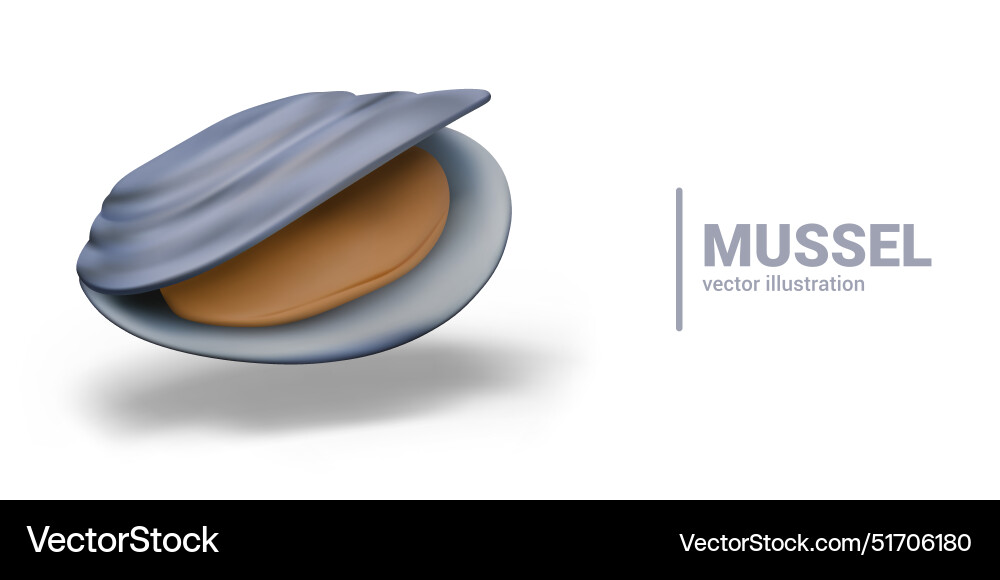 Realistic shell with open flaps round edible Vector Image