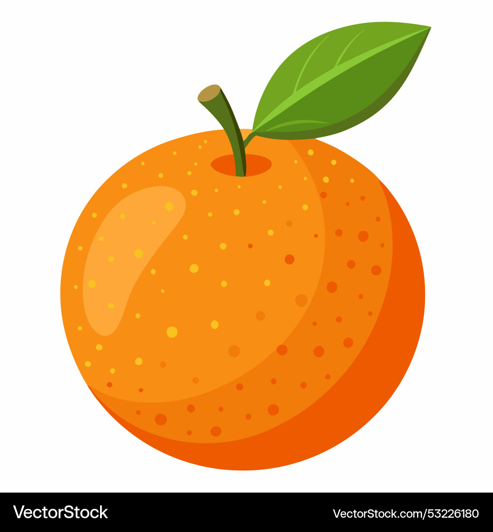 Tangerine fruit isolated on white background Vector Image