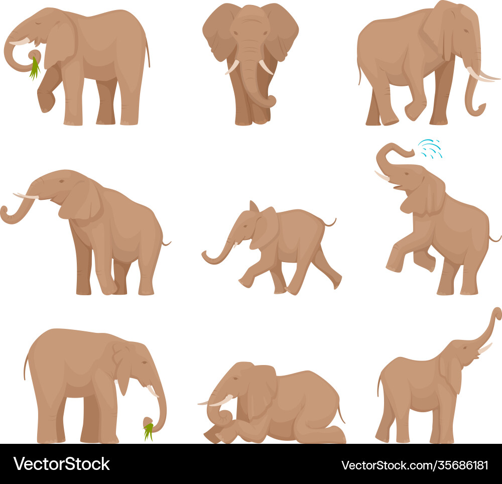 African large elephants big wild exact Royalty Free Vector