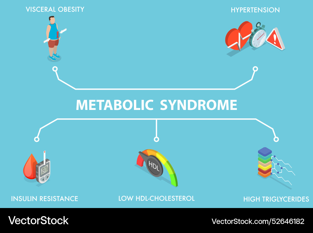 3d isometric flat of metabolic Royalty Free Vector Image